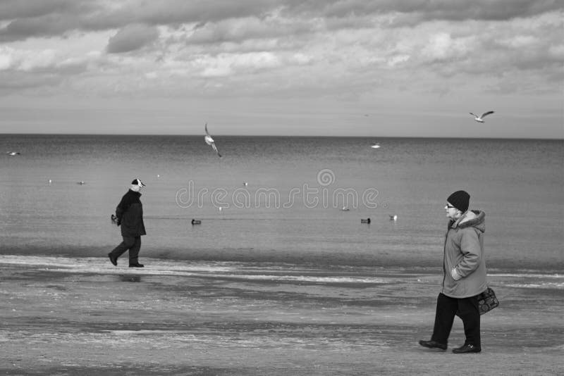 Winter Walk on a Sunny Day in February. Editorial Photo - Image of ...