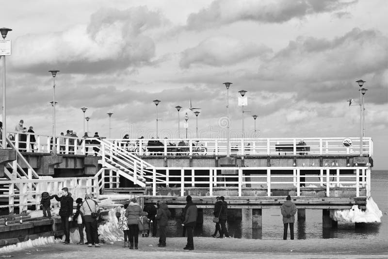 Winter Walk on a Sunny Day in February. Editorial Stock Image - Image ...