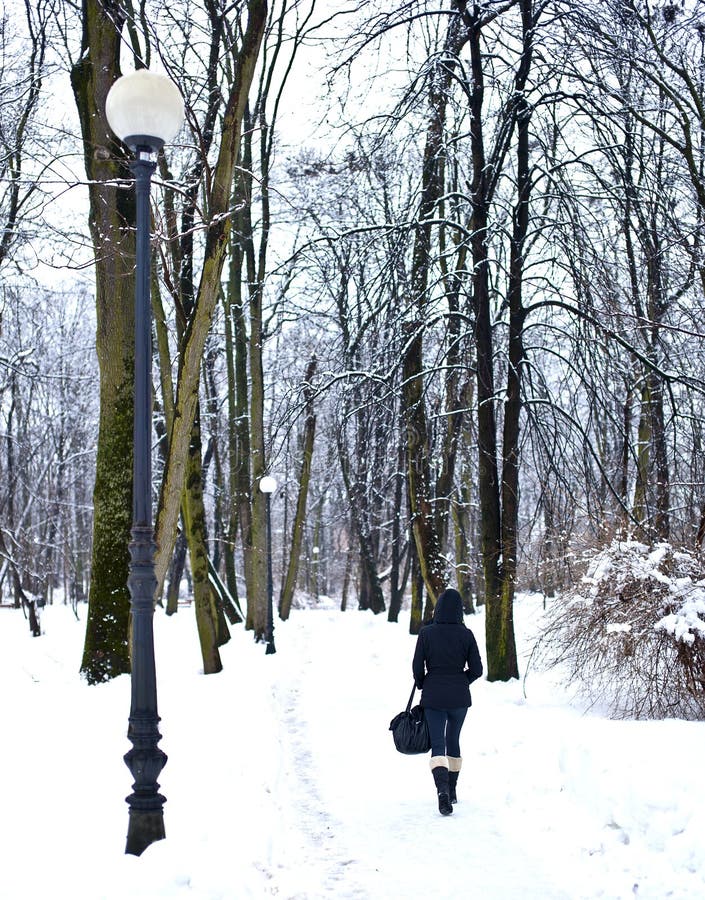 Winter walk stock photo. Image of coldly, park, forest - 30338494