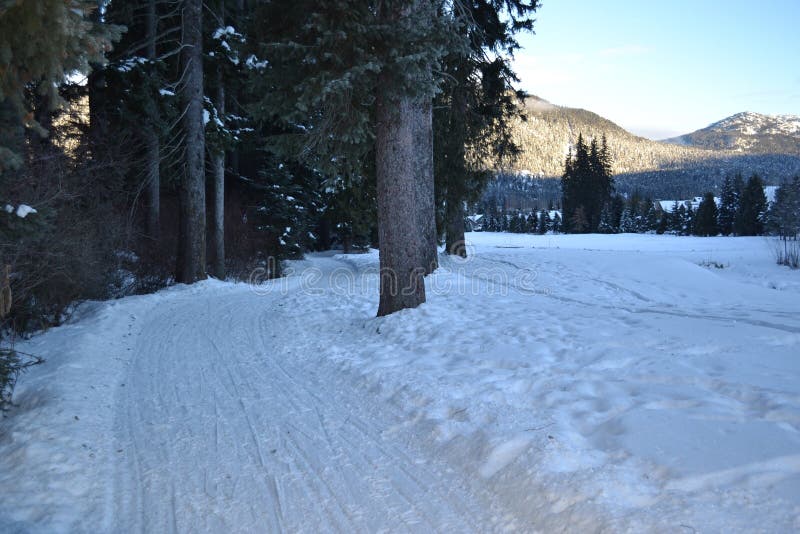 Winter Walking/cross Country Track with Mountain Background Stock Image ...
