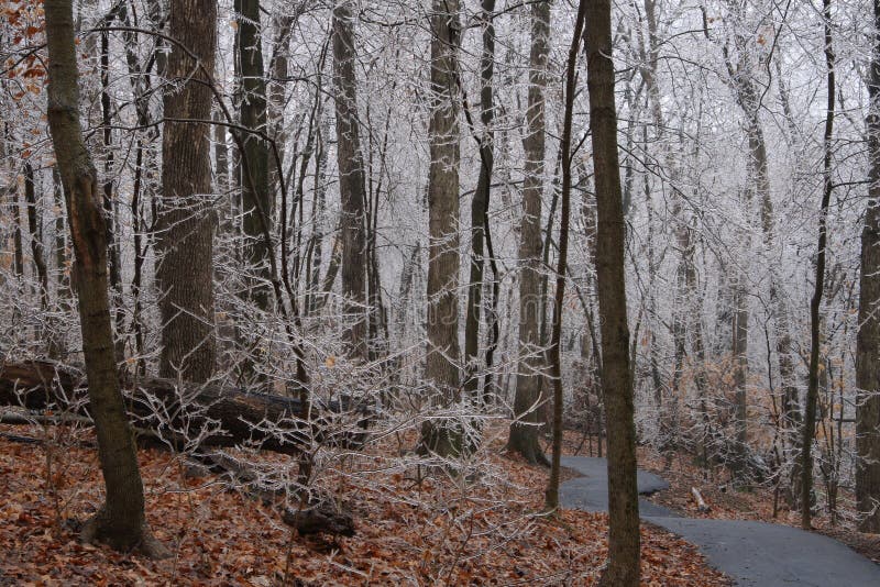 Winter at walking trail stock image. Image of nature, blue - 7108379