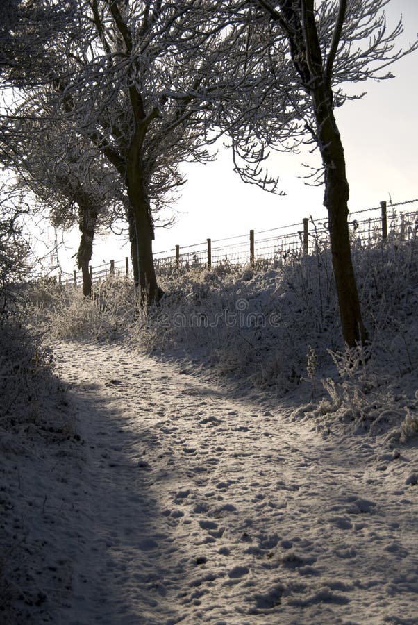 Winter Walks in Down a Snow Covered Lane. Stock Photo - Image of winter ...