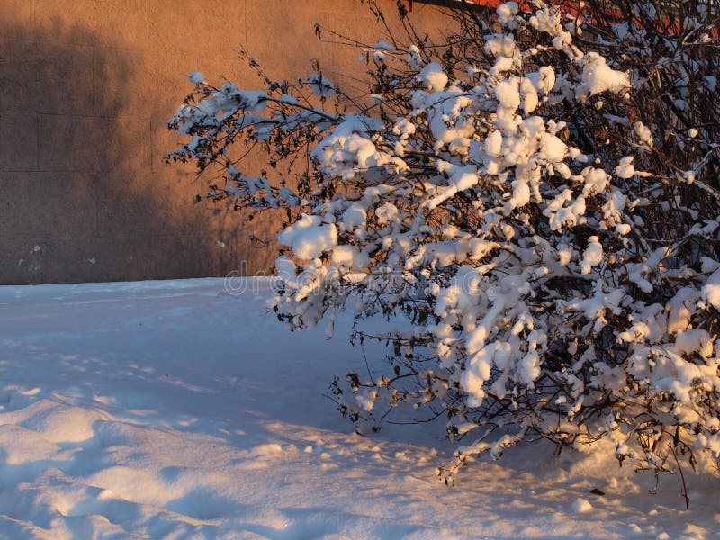 Winter wall stock photo. Image of wall, frozen, season - 240607012