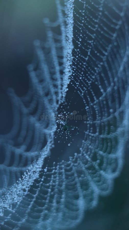 Winter Wave in Nature by Spider Stock Image - Image of beautiful, wave ...