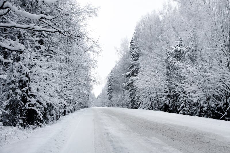 Winter Scene of Snow Covered Road and Trees Stock Image - Image of ...