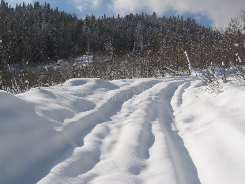 Winter way stock image. Image of activity, natural, active - 666279