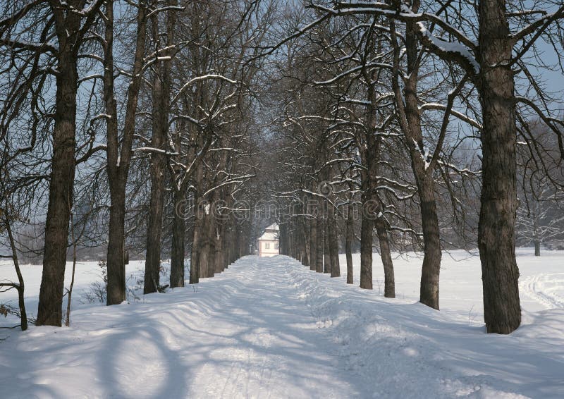Winter way back stock photo. Image of snow, atmosphere - 19540354