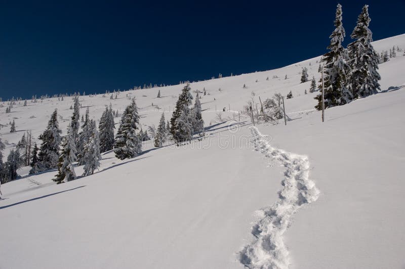 Winter Way Running Onto Hill Top Stock Image - Image of scenic ...