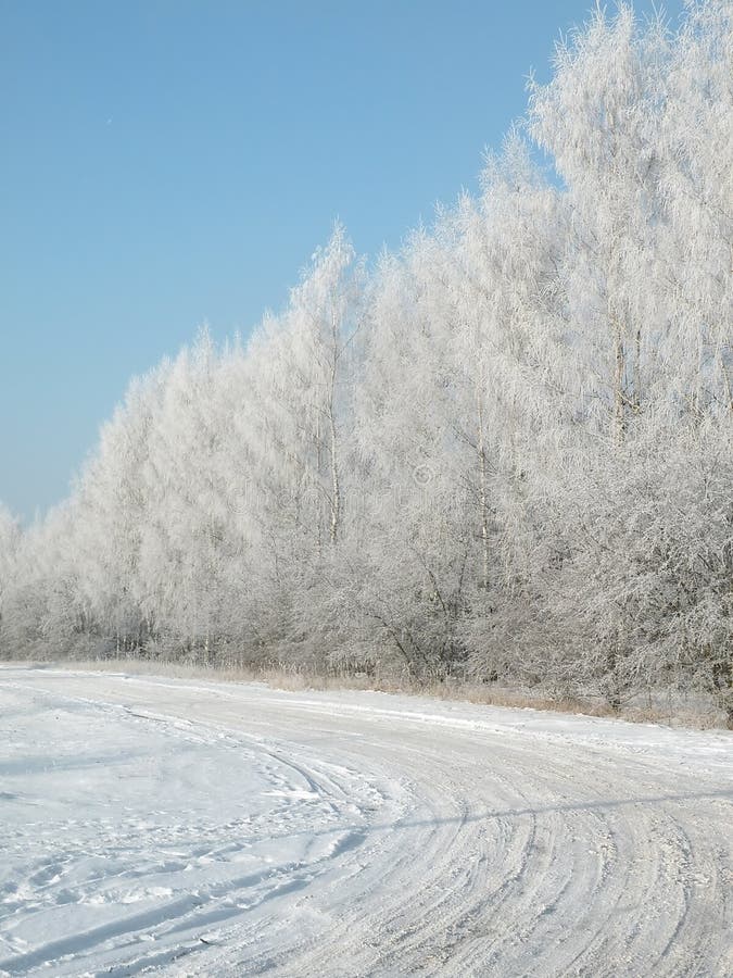 Winter way and tree stock photo. Image of view, blue - 12686114
