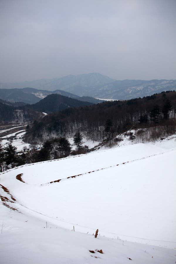 Winter stock image. Image of outdoors, snow, winter, weather - 82420763