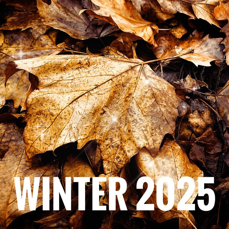 Winter Weather Articles News Page Header Illustrations Stock Image ...