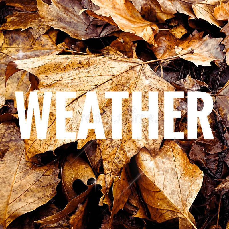 Winter Weather Articles News Page Header Illustrations Stock Image ...