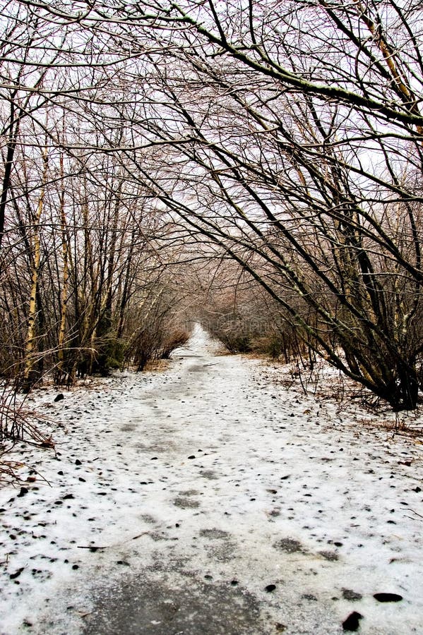 Winter Weather, Ice Storm Picture. Image: 3305149