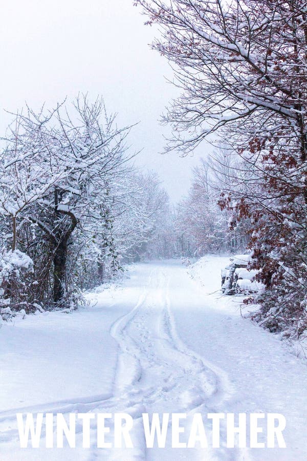 Winter 2022 Weather Snow Updates Page Header Background Stock Photo ...