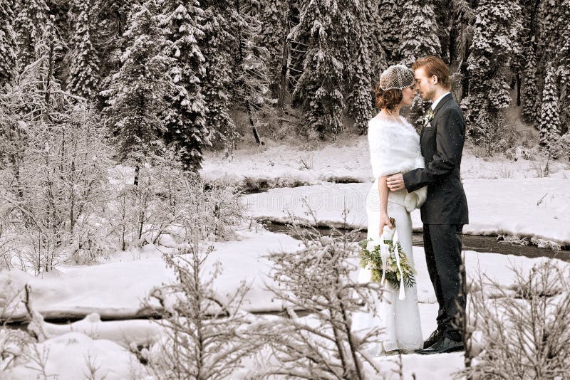 800+ Winter wedding Free Stock Photos - StockFreeImages