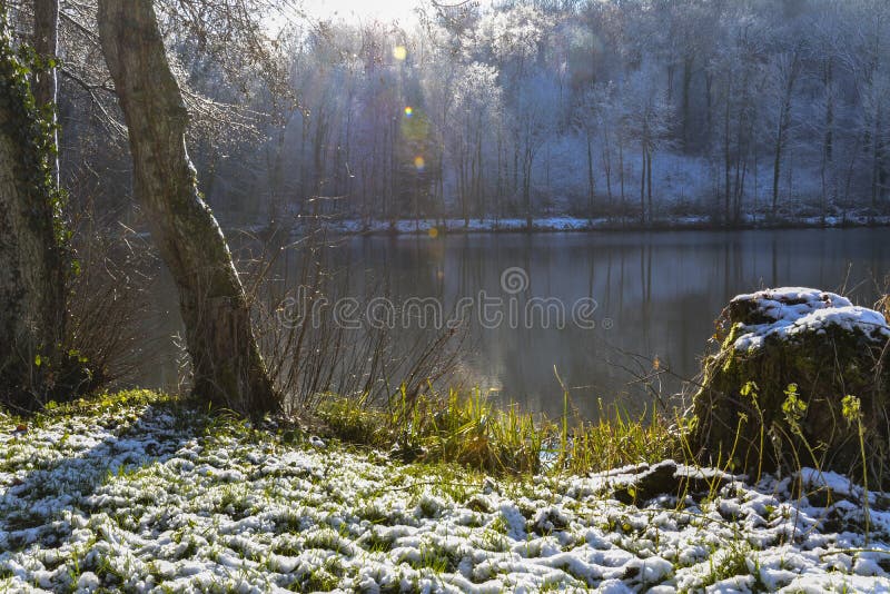Winter white forrest stock image. Image of landscape - 48423765