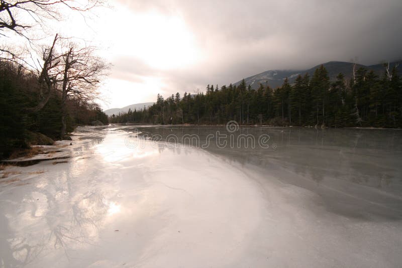 Winter in the White Mountains Stock Image - Image of forest, england ...