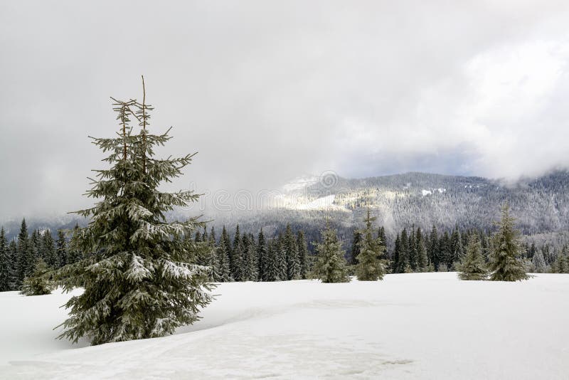 Winter in wild mountains stock photo. Image of europe - 235833438