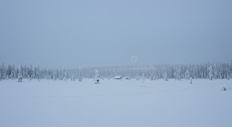 Winter Wilderness Landscape: Snow-covered Cabin and Forest in Serene ...