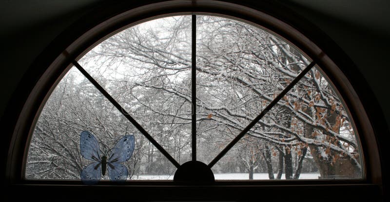 Winter Window stock image. Image of garden, snow, branches - 3921075