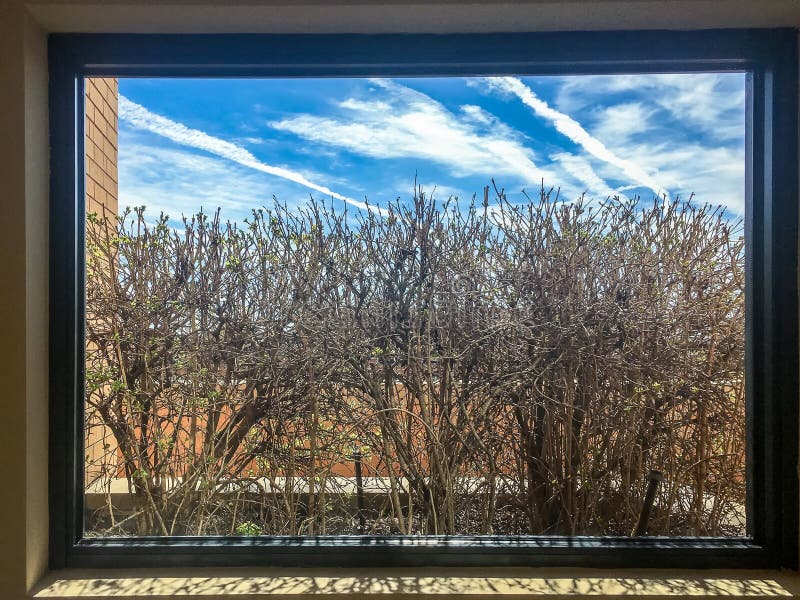 Winter Window Scene of Trees Stock Image - Image of countryside ...