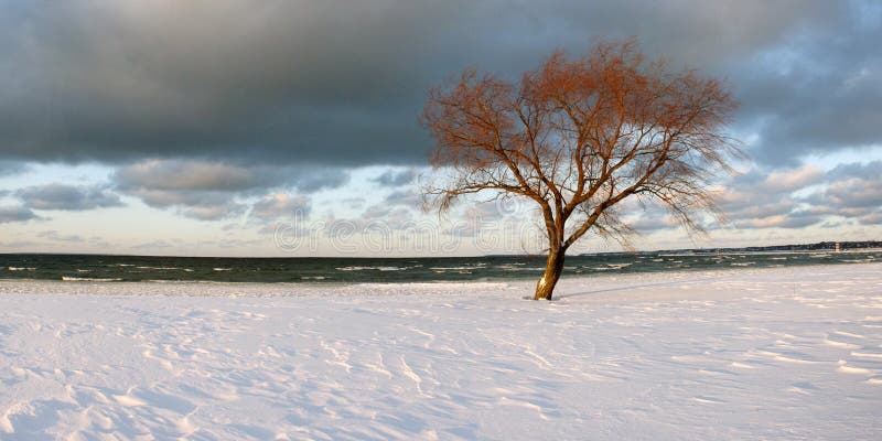Winter winds and snow stock image. Image of wind, winter - 84335661