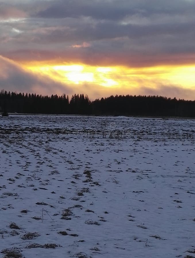 Winterfield stock image. Image of field, road, cold, wires - 14052307