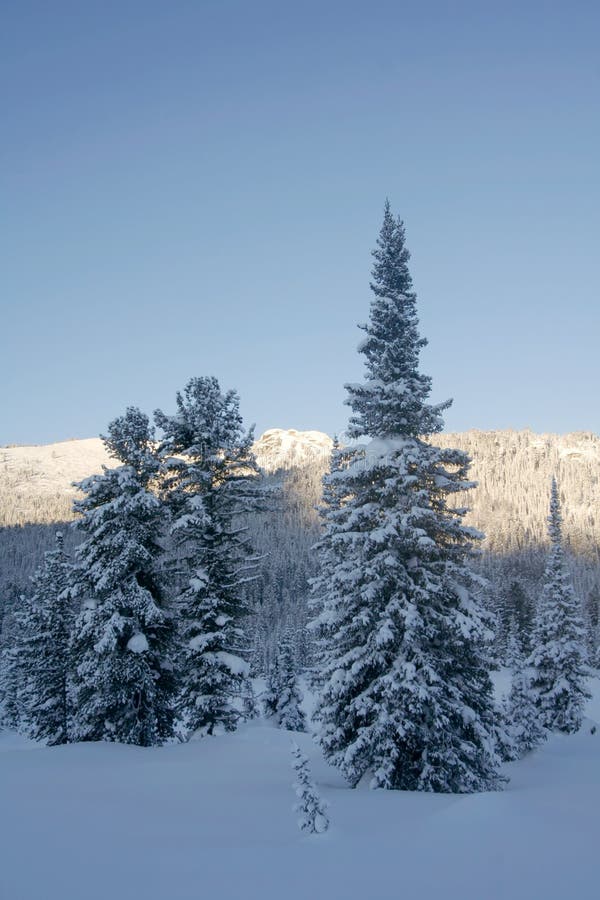 Winter Wonderland Picture. Image: 1976890