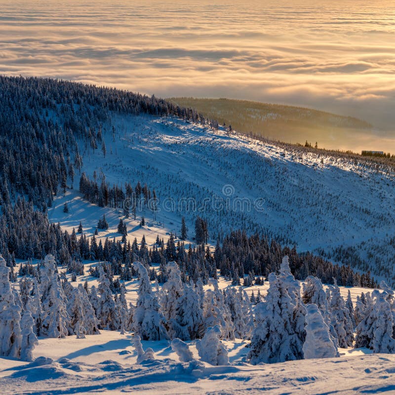 Quiet Winter Snowy Landscape Stock Photo - Image of coldish, drift ...