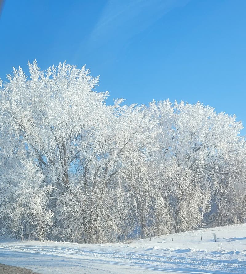 Winter Wonderland dream stock photo. Image of wonderland - 275360450