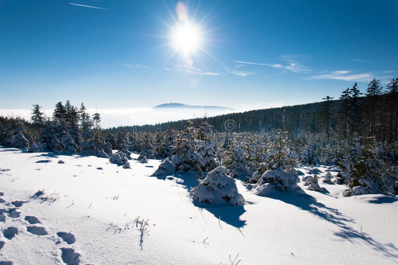 Winter Wonderland in the Harz Stock Image - Image of jumping, mountain ...
