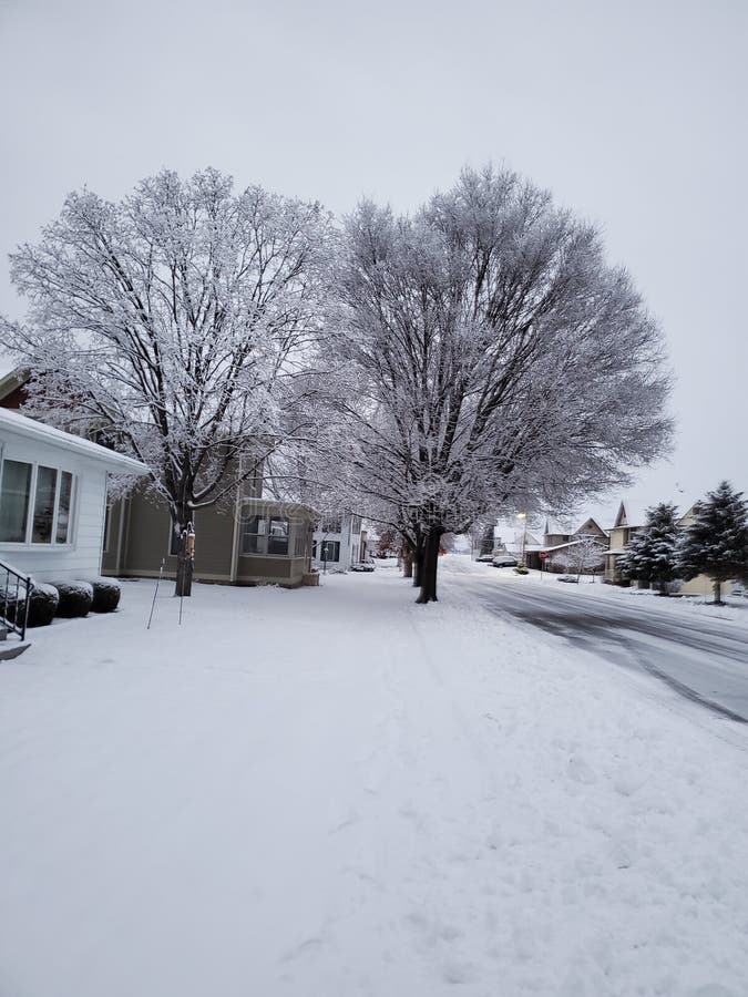 Winter wonderland in Iowa stock image. Image of freezing - 267511521
