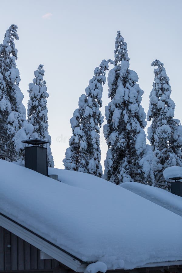 Winter Wonderland Lapland Scene Sunset Stock Photo - Image of frost ...