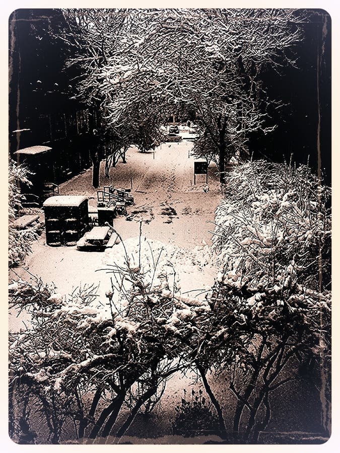 Winter wonderland stock image. Image of wonderland, winter - 46259539