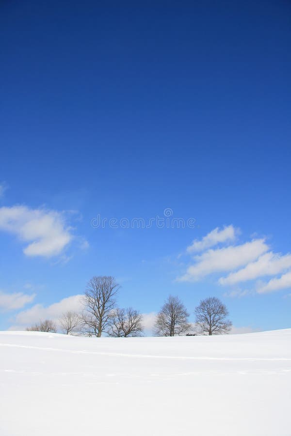 Winter Wonderland with Snow on a Hill Stock Image - Image of january ...
