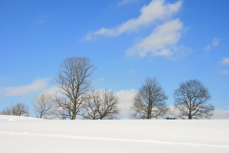 Winter Wonderland with Snow on a Hill Stock Image - Image of silence ...