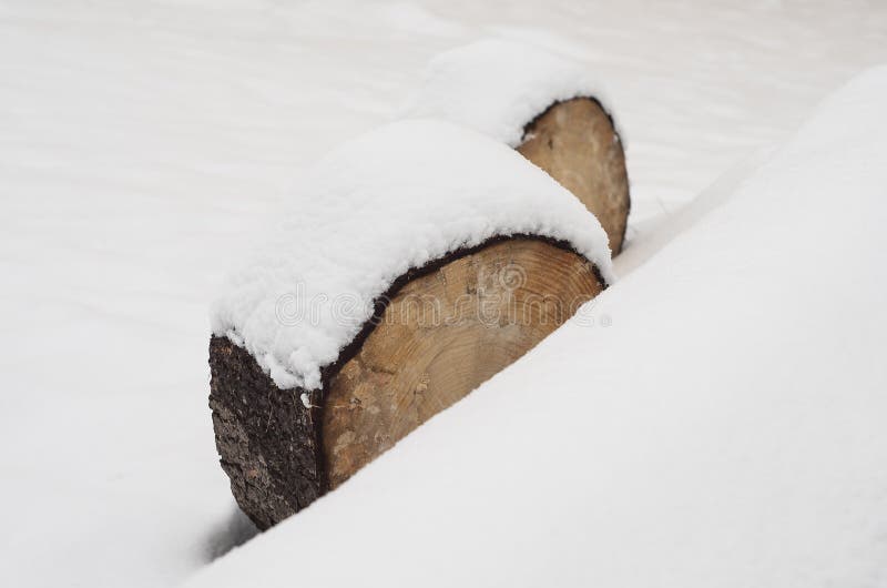 Winter wood and snow stock photo. Image of wood, frozen - 138296460