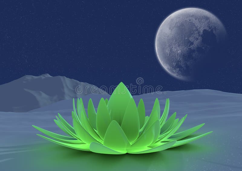 Winter zen flower stock illustration. Illustration of calm - 23080908