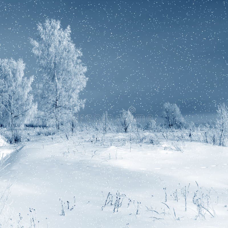 Winterbild stockbild. Bild von schneebedeckt, reif, wetter - 28032647