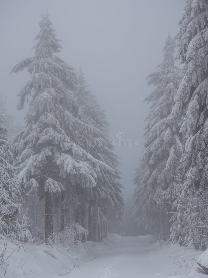 Winterimpressionen in the German Wood Stock Photo - Image of scenery ...