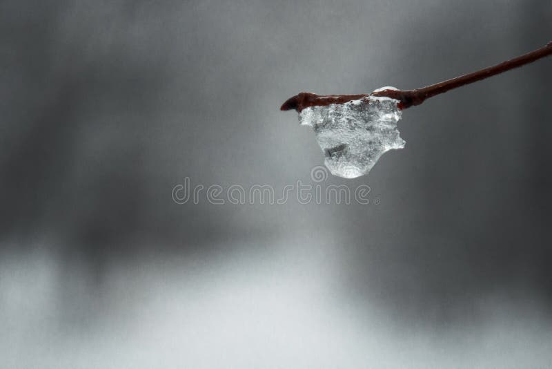 Winterland ice drop stock image. Image of winterland - 138011325