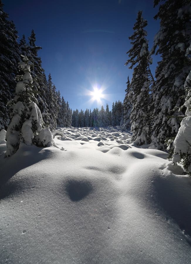 Winterlandschaft stockfoto. Bild von park, winter, berg - 18468180