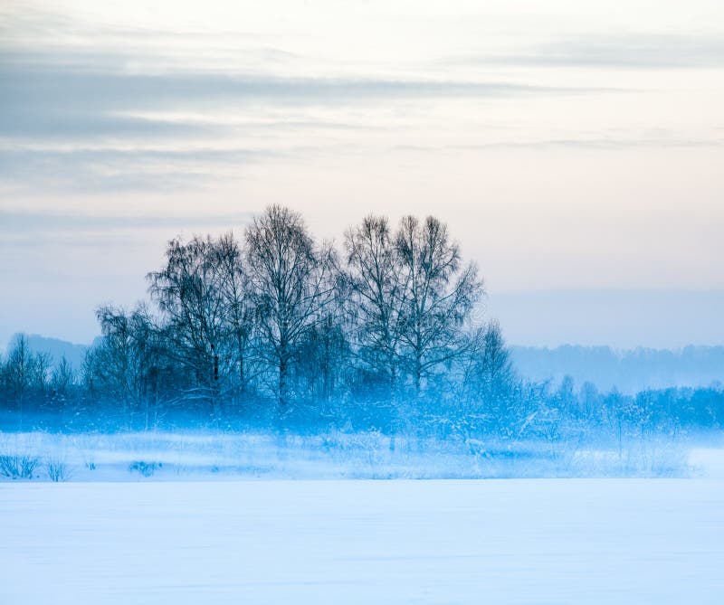 Winterlandschaft stockbild. Bild von schneesturm, nebel - 7697977