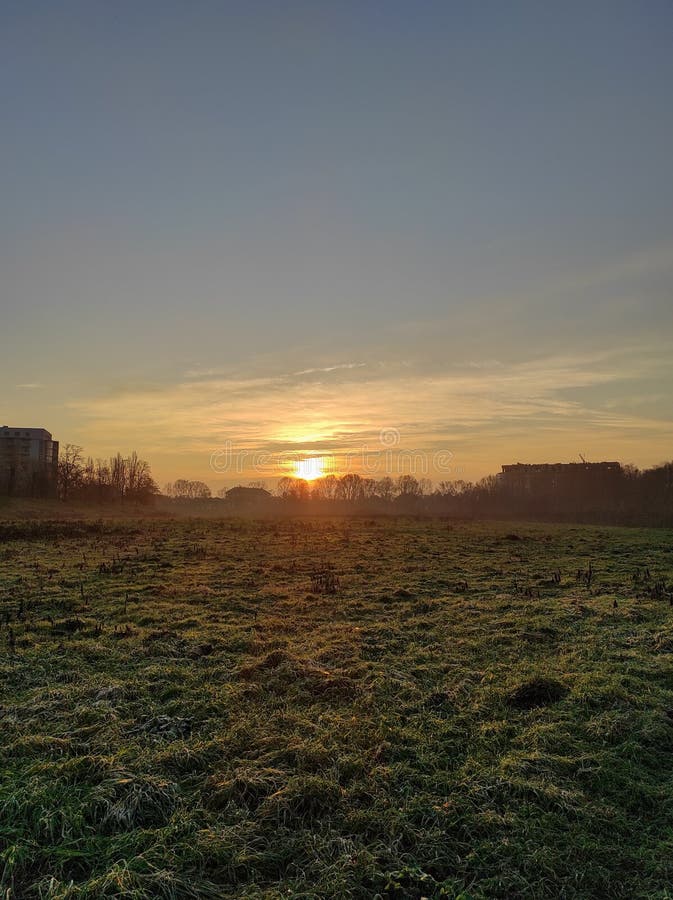 Fog at Dawn in a Green Valley in Tuscany Stock Photo - Image of foggy ...