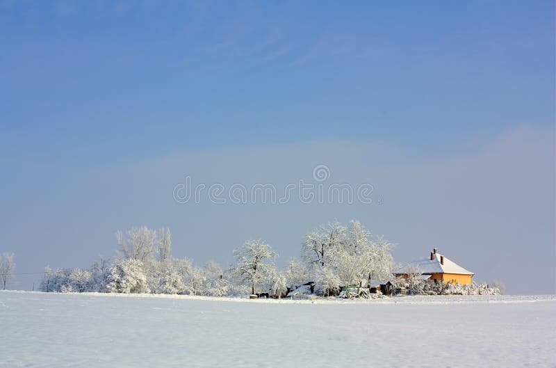 A winters day stock image. Image of winter, domestic - 18256511