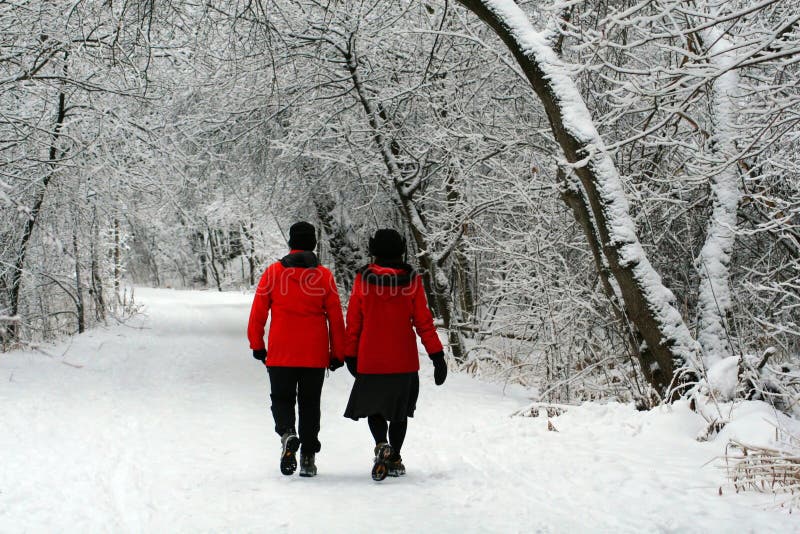 A Wintertime Walk stock image. Image of storm, flakes - 4086429