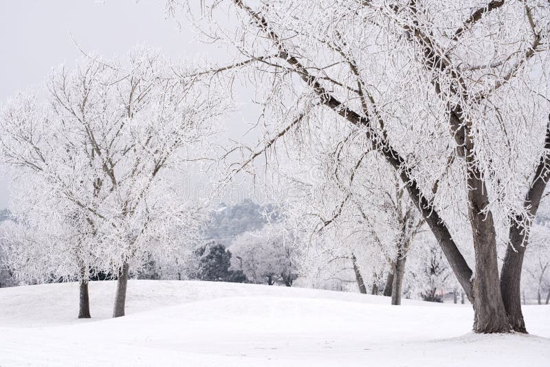 Wintery Day in Colorado stock image. Image of weather - 90134741