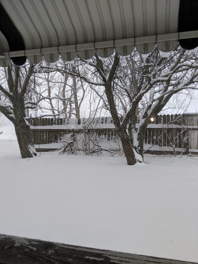 Wintery day stock photo. Image of trees, wintery, snow - 150463112