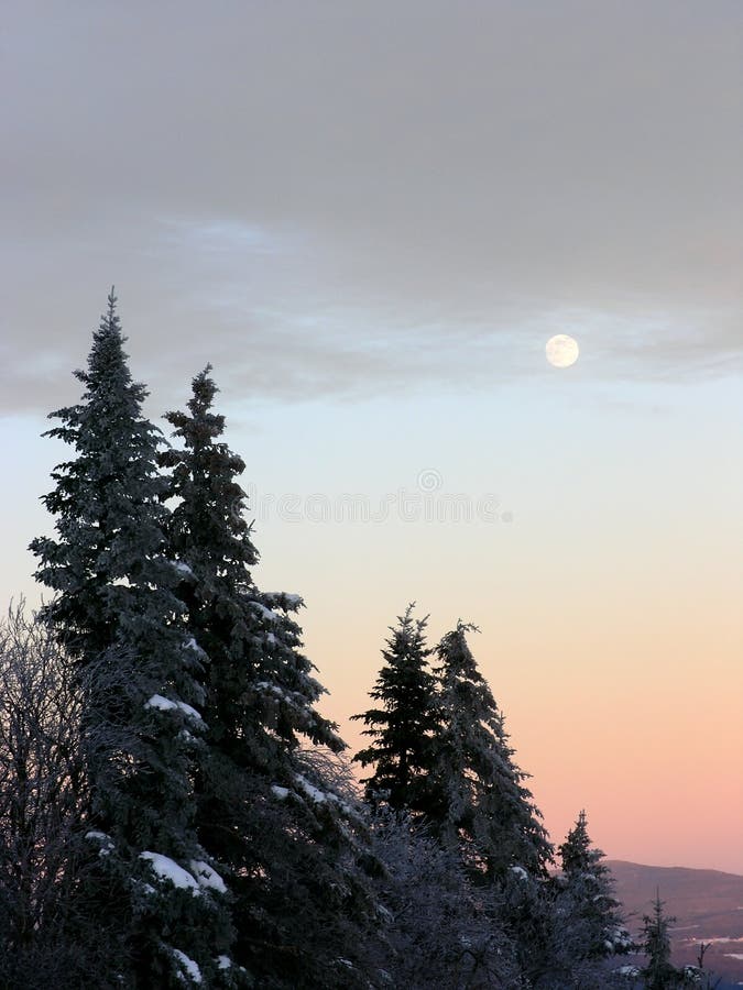 Wintery Moonrise Stock Photos - Free & Royalty-Free Stock Photos from ...