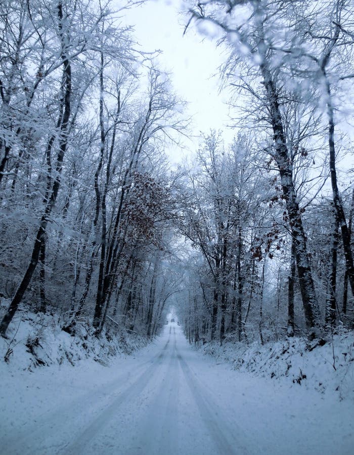 Wintery road stock image. Image of white, paved, wintery - 53294935